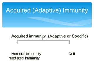 Adaptive immunity | PPT