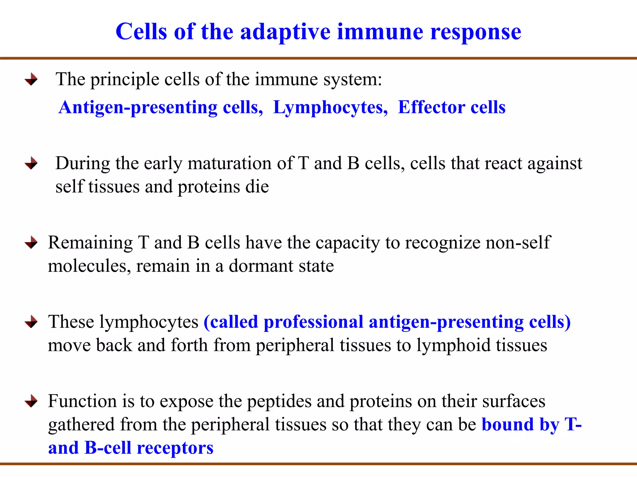 Adaptive Immune Response to Viral Infections | PPTX