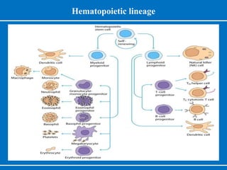 Adaptive Immune Response to Viral Infections | PPTX