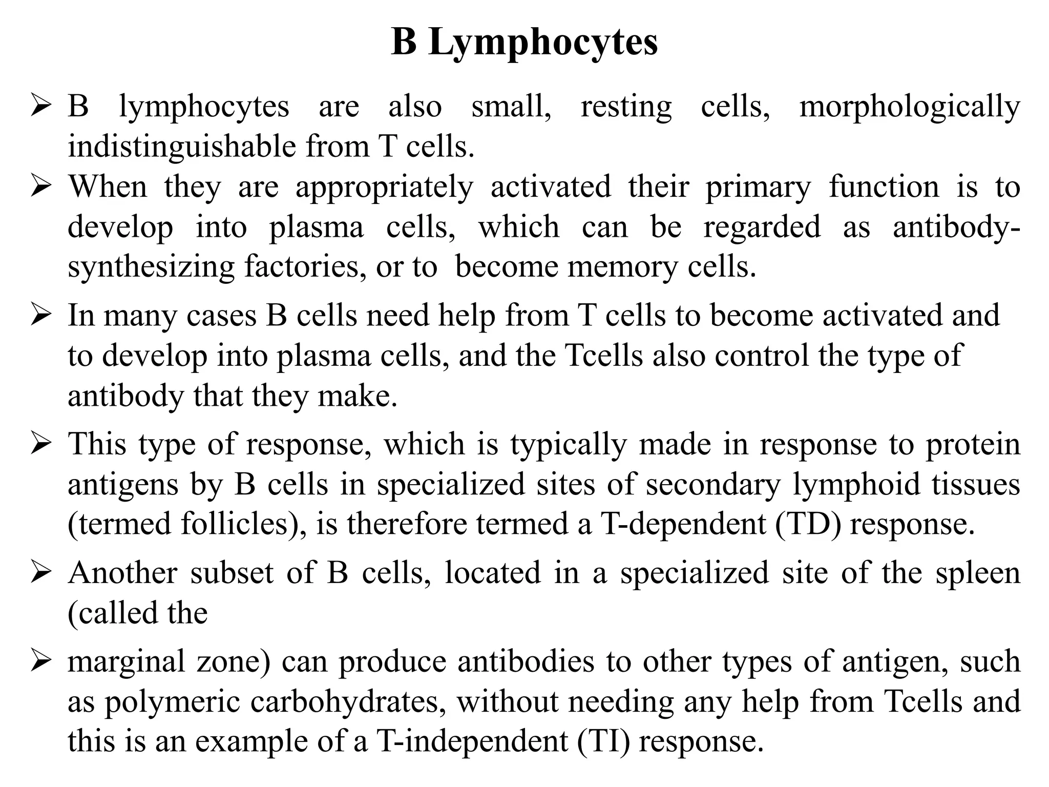 Adaptive Immune Response.pptx