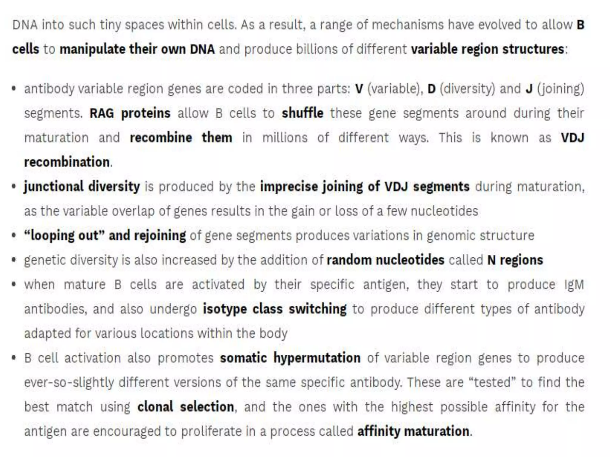 Adaptive Immune Response.pptx