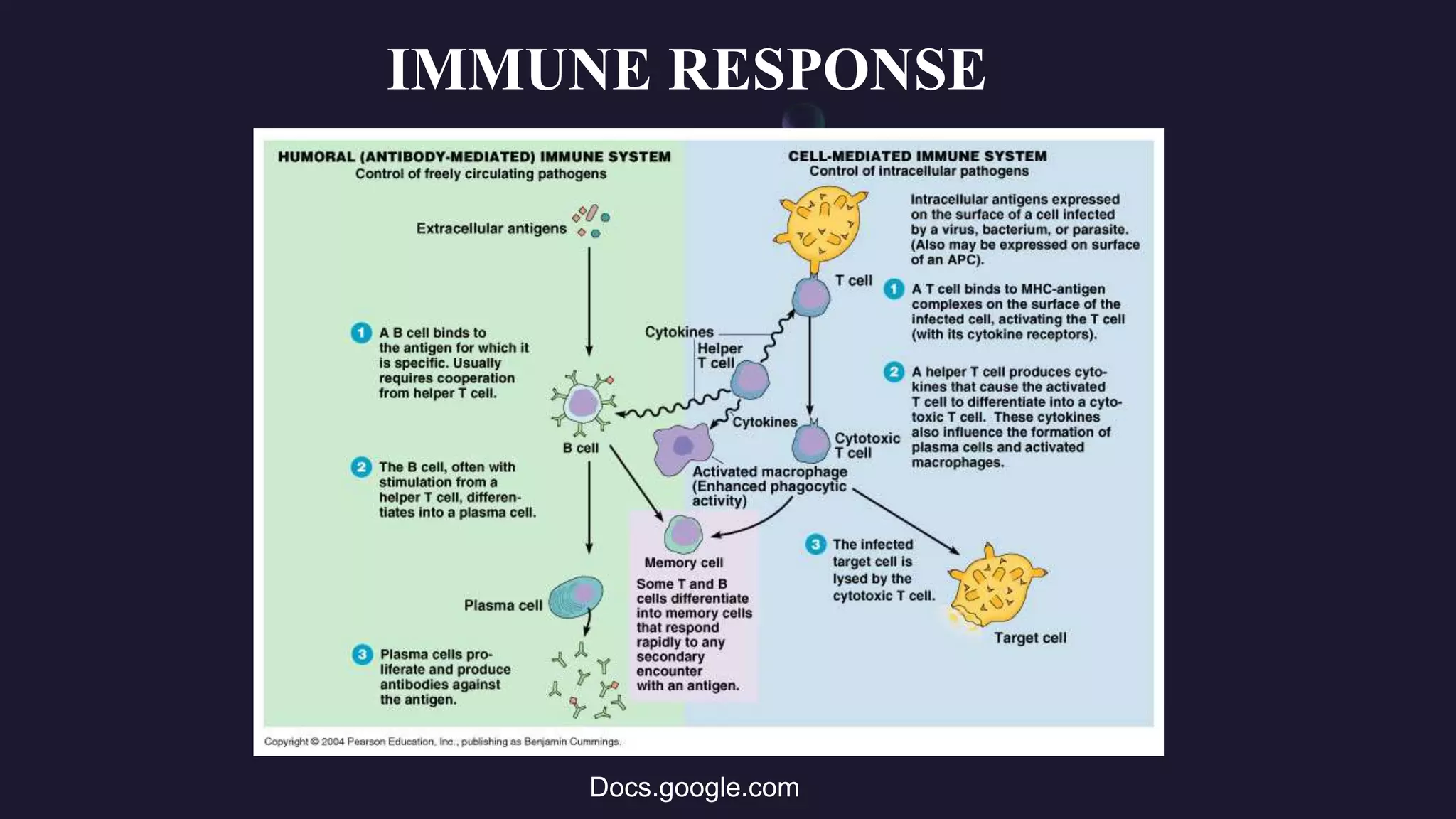 ADAPTIVE IMMUNE SYSTEM.pptx