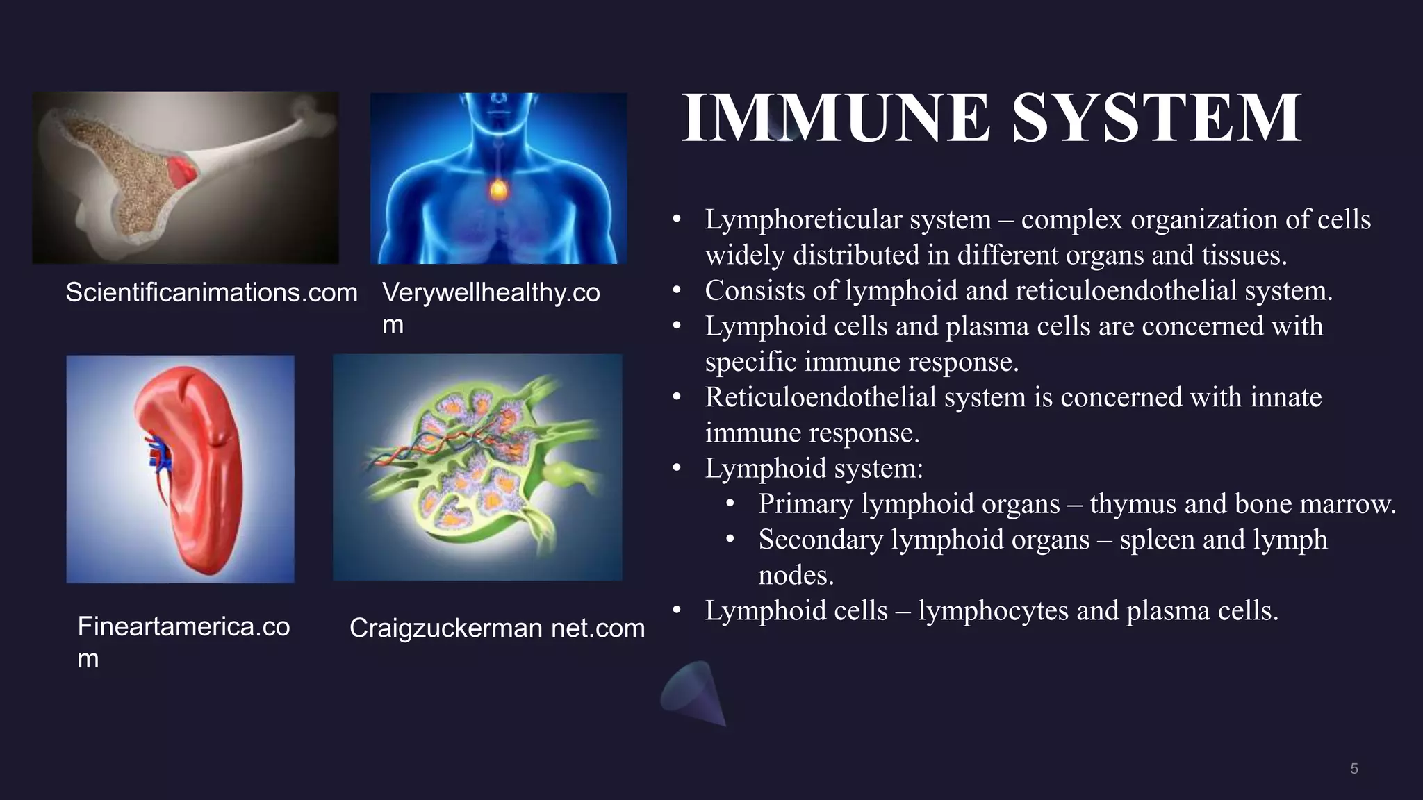 ADAPTIVE IMMUNE SYSTEM.pptx