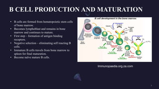 ADAPTIVE IMMUNE SYSTEM.pptx