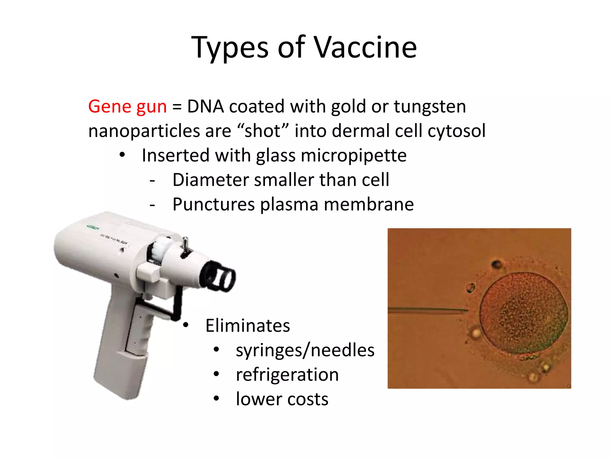 11 - Adaptive Immunity | PPTX