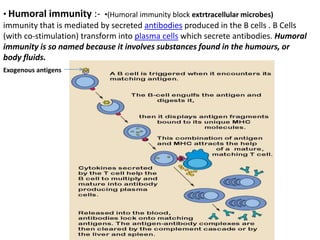 Adaptive immunity. by mateen irfansha | PPTX