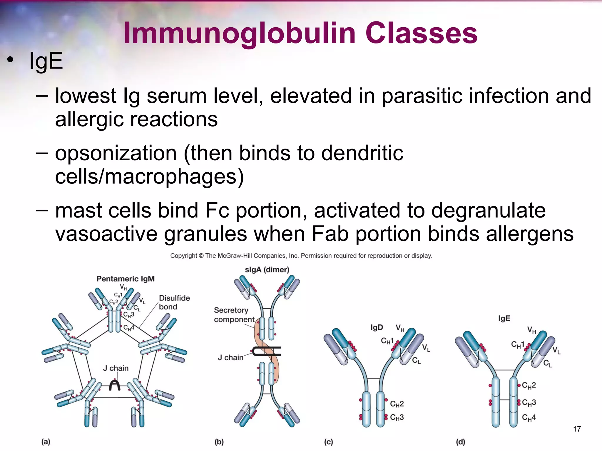 Adaptive Immunity | PPT