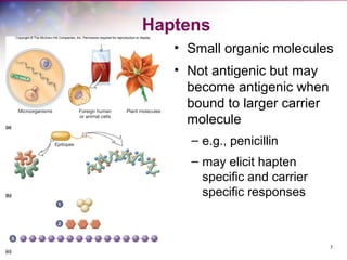 Adaptive Immunity | PPT