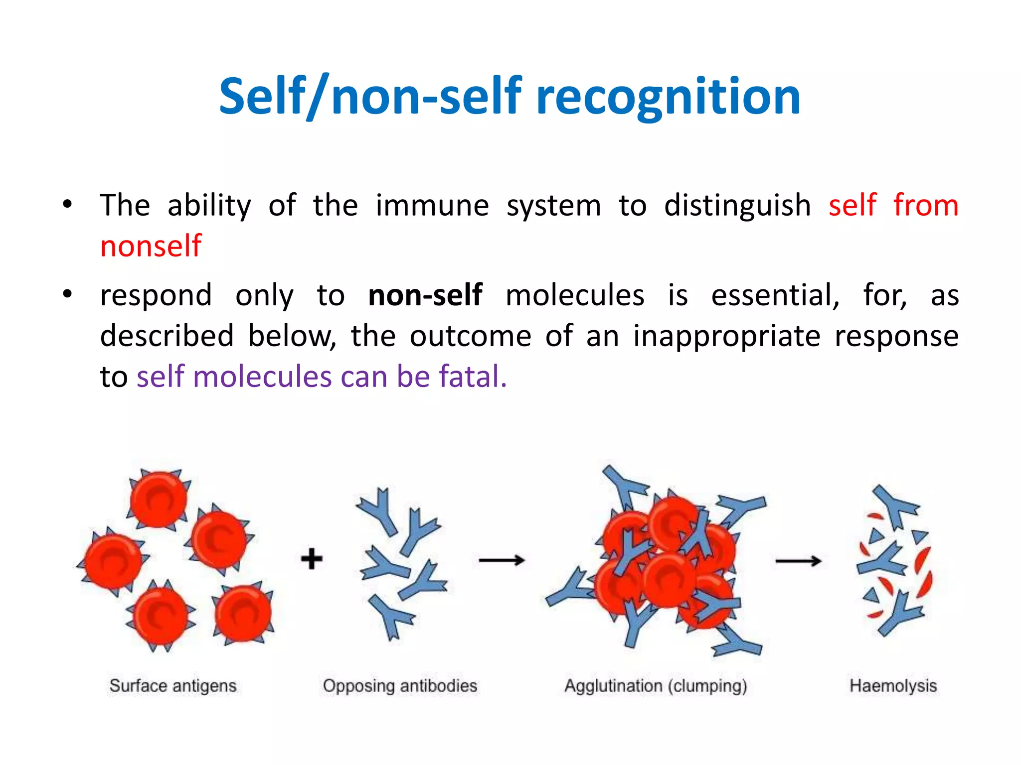 Adaptive immunity - 2023.pptx