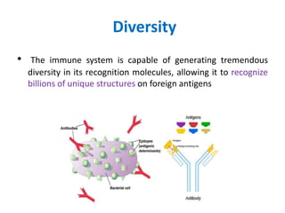 Adaptive immunity - 2023.pptx