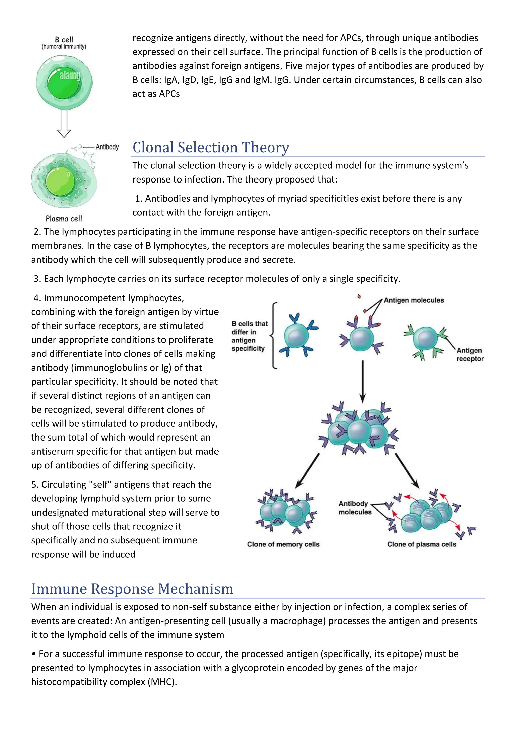 adaptive immunity.pdf
