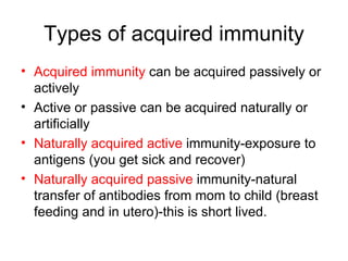 Adaptive Immunity Chapter 17 Tortora | PPT