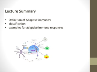 Adaptive immunity (1).pptx | Infectious Diseases | Diseases and Conditions