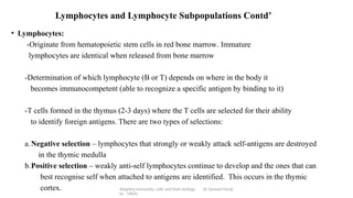 Adaptive immune system cells and their biology | PPTX