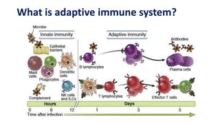 Introduction to Adaptive imunity | PPT