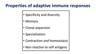 Introduction to Adaptive imunity | PPTX