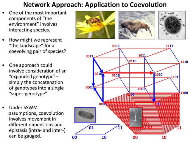 Ben Kerr - Adaptive landscapes in changing environments | PPTX