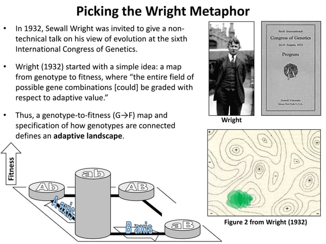 Ben Kerr - Adaptive landscapes in changing environments | PPTX
