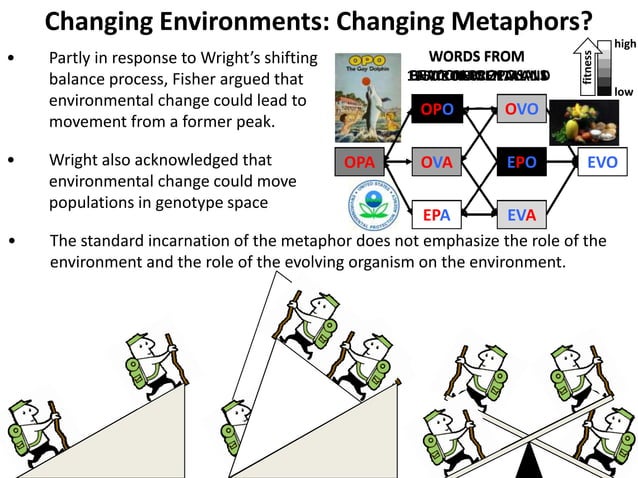Ben Kerr - Adaptive landscapes in changing environments | PPTX