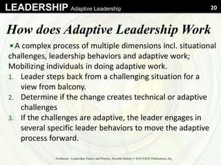 Adaptive leadership | PDF