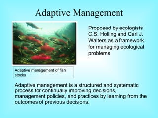 Adaptive Management | PPT