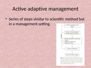 AdaptiveManagement vs traditional management system | PPT