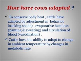 Adaptive mechanism of exotic cattle2 | PPT
