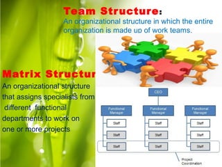 Adaptive organizational design | PPT