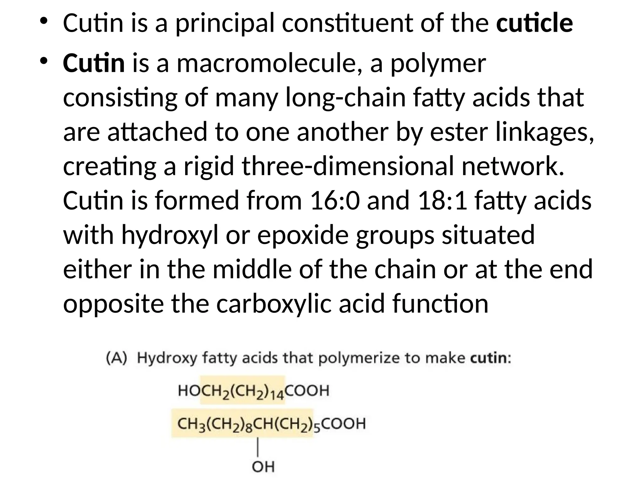 Adaptive & Protective Systems in plants for better growth and ...