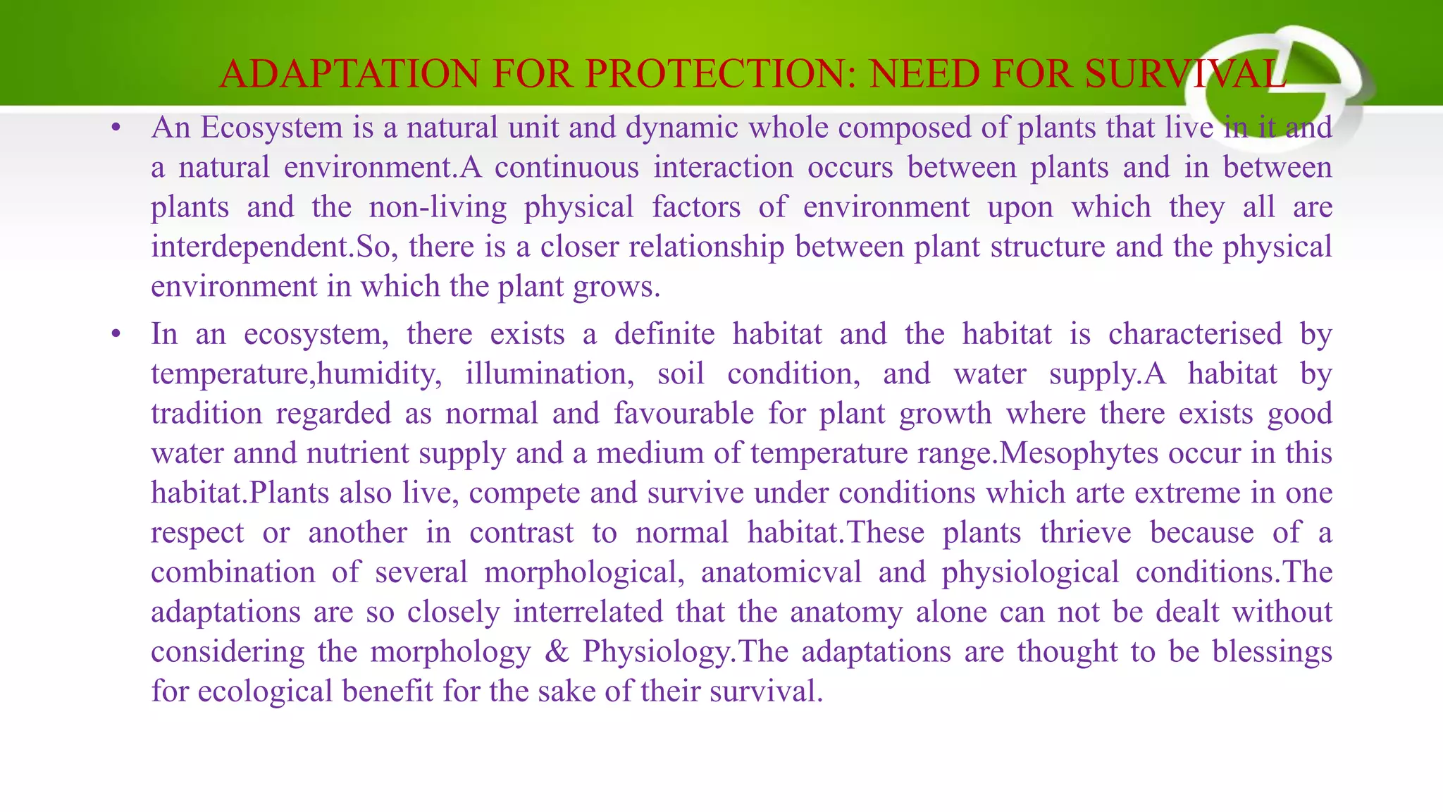 Adaptive & protective tissue system in plants | PDF