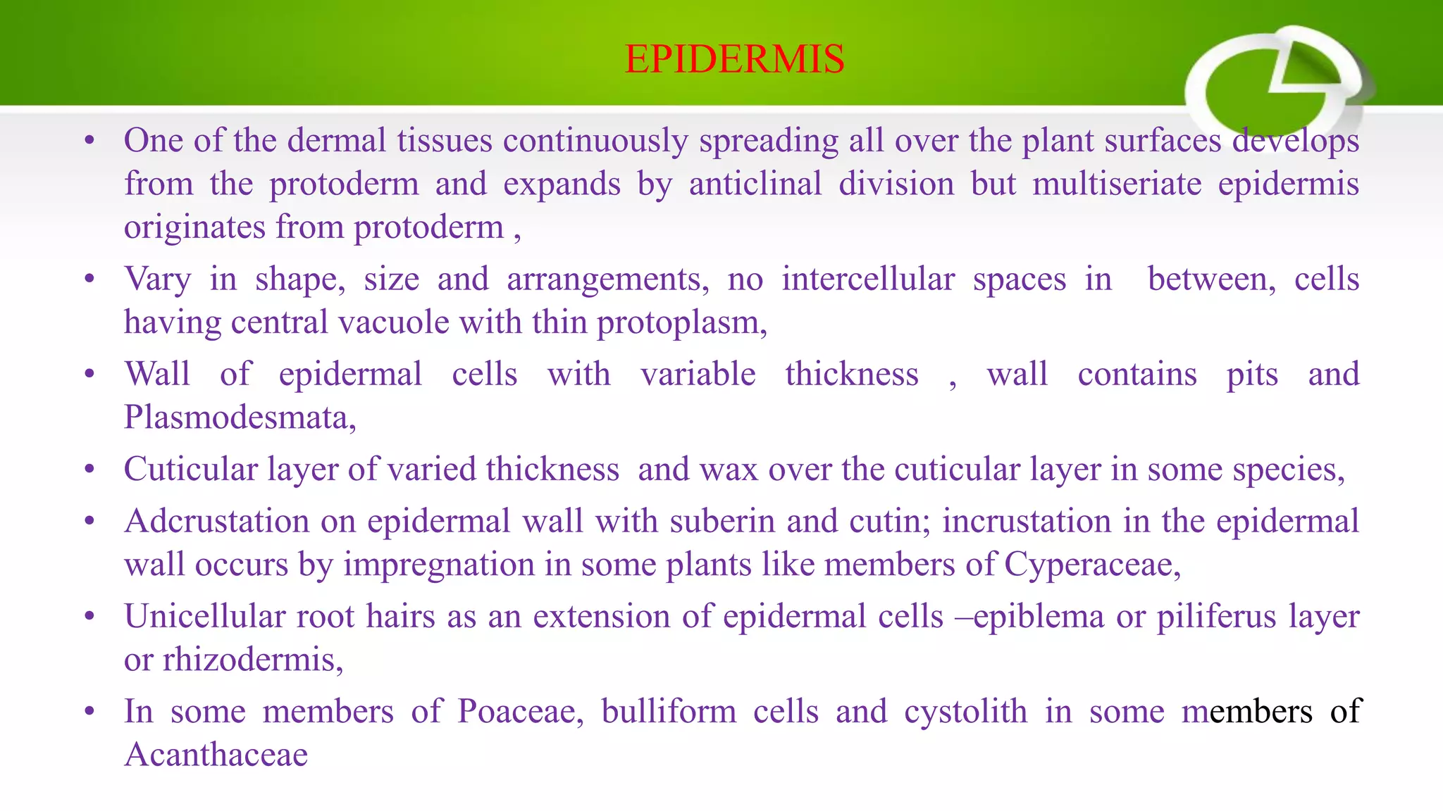 Adaptive & protective tissue system in plants | PDF