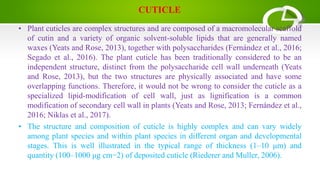Adaptive & protective tissue system in plants | PDF