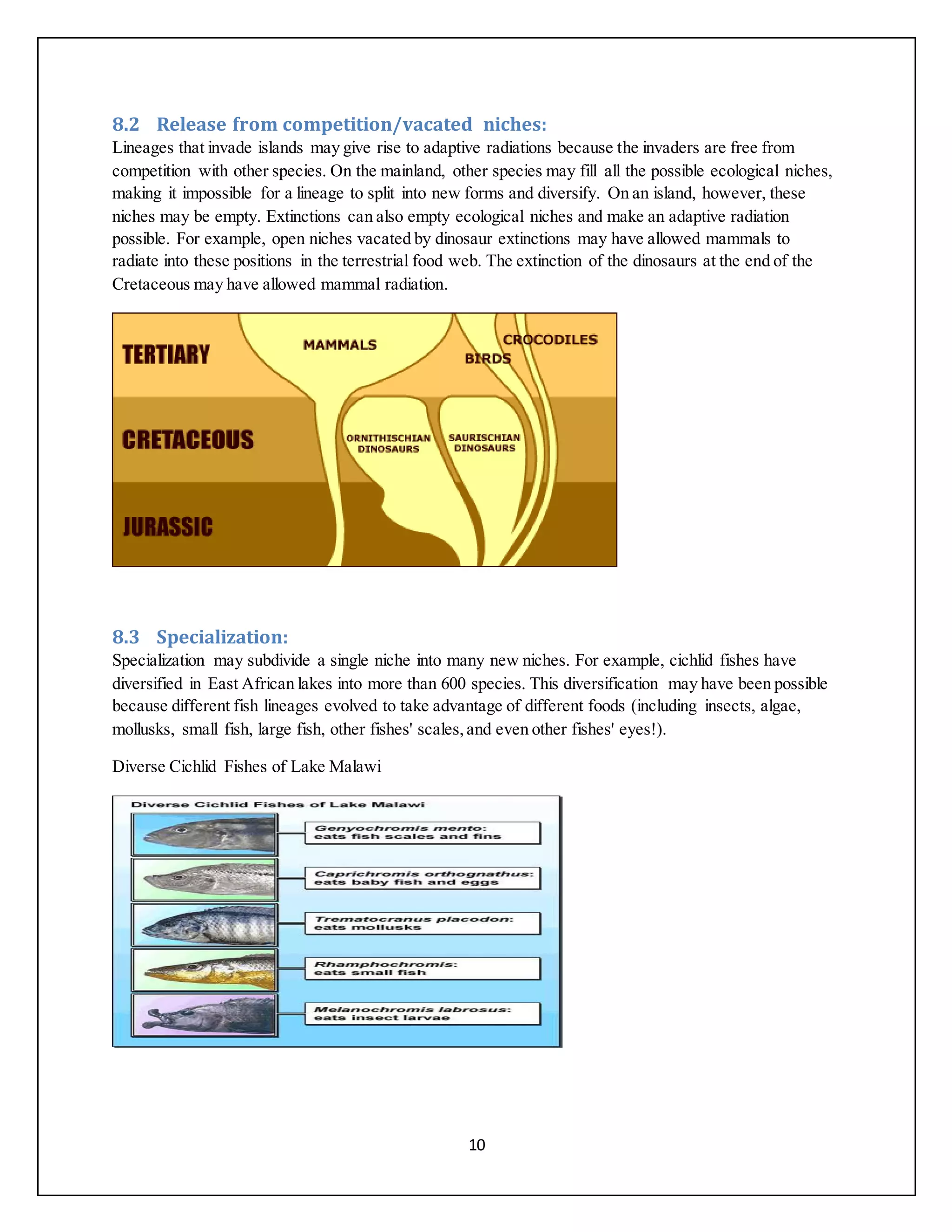 Adaptive radiation | DOCX