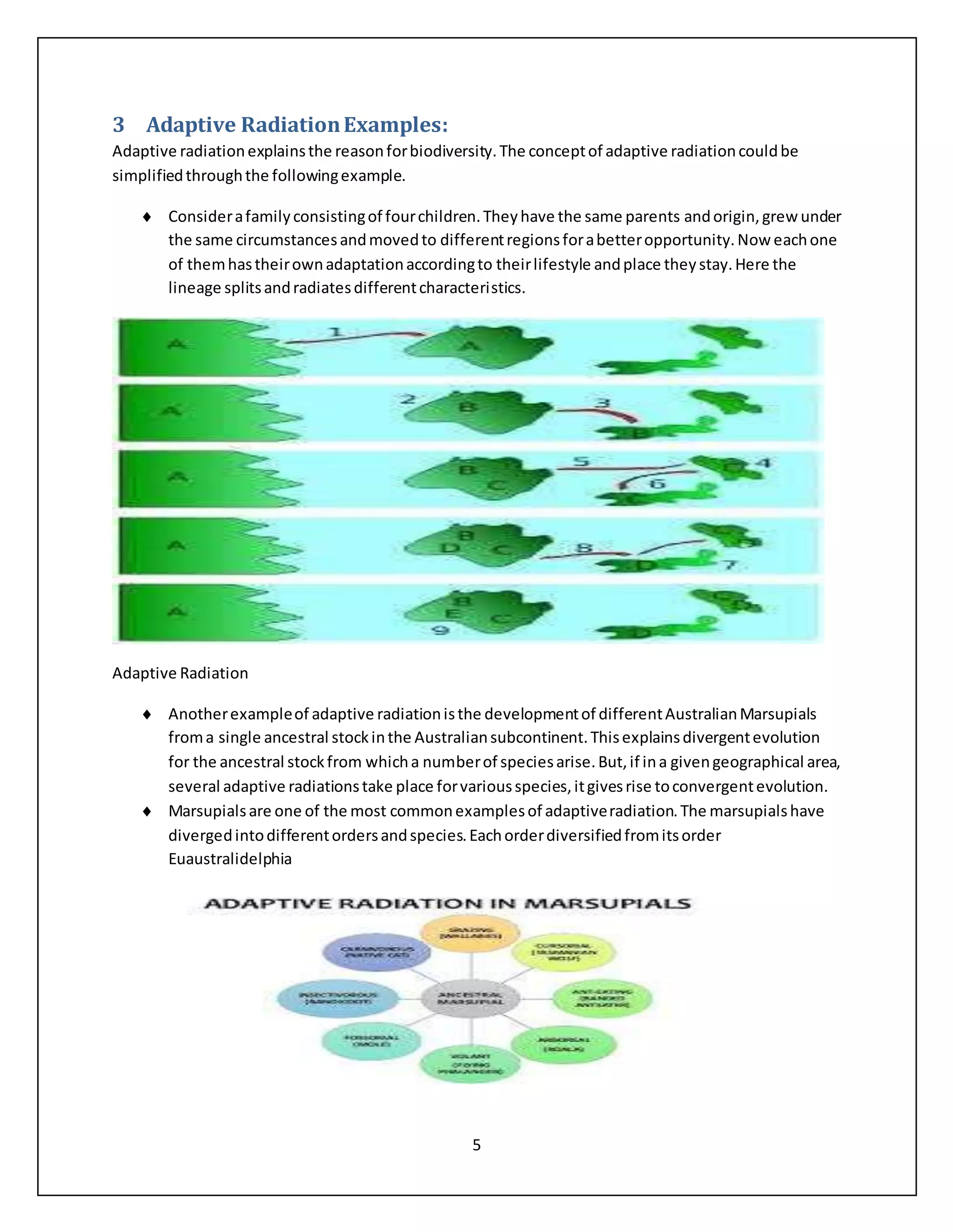 Adaptive radiation | DOCX