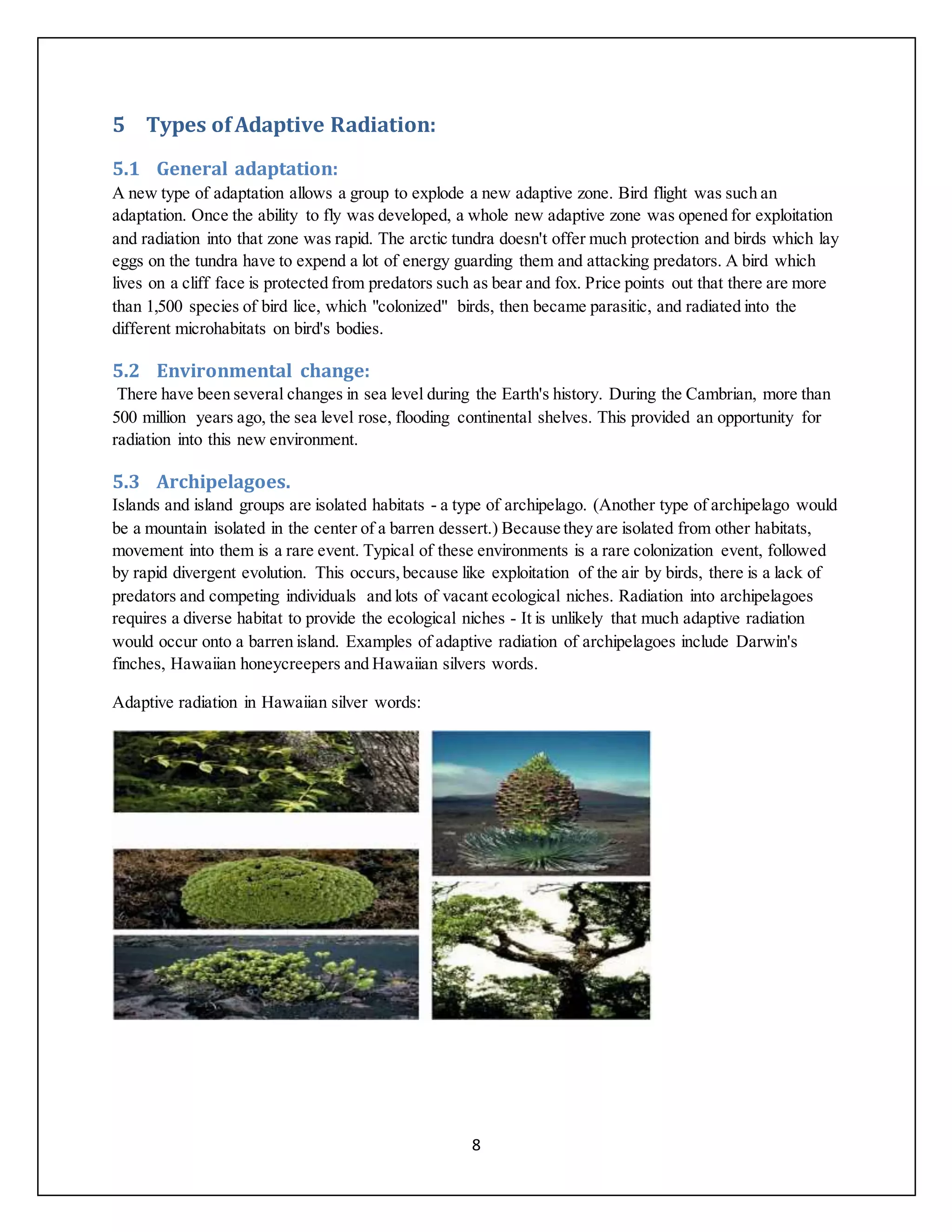 Adaptive radiation | DOCX | Genetics | Science