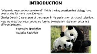 adaptiveradiationinmammals-180505082642.pptx