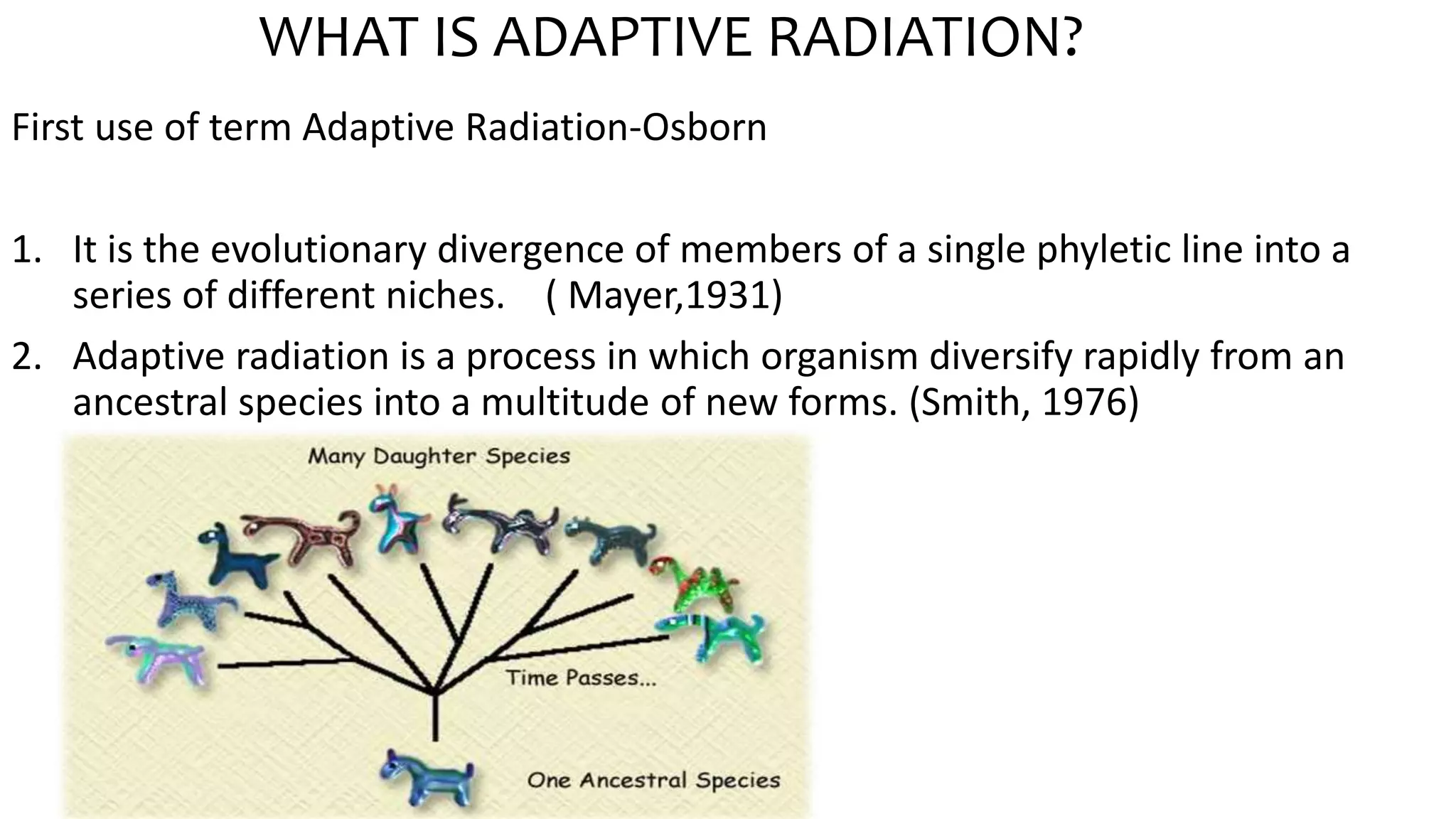Adaptive radiation in mammals | PPTX