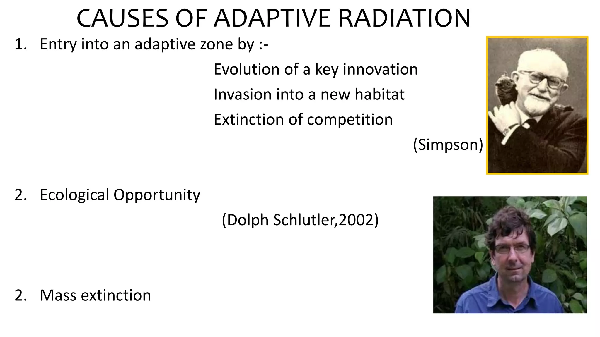 Adaptive radiation in mammals | PPTX