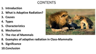 Adaptive radiation in mammals | PPTX