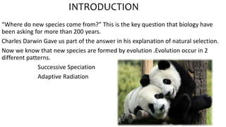 Adaptive radiation in mammals | PPTX