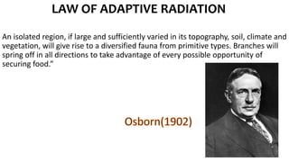 Adaptive radiation in mammals | PPTX