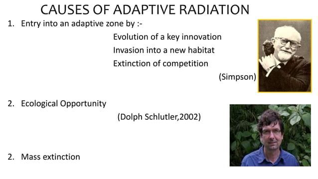 Adaptive radiation in mammals | PPTX