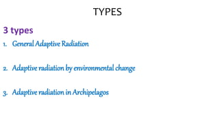 Adaptive radiation in mammals | PPTX