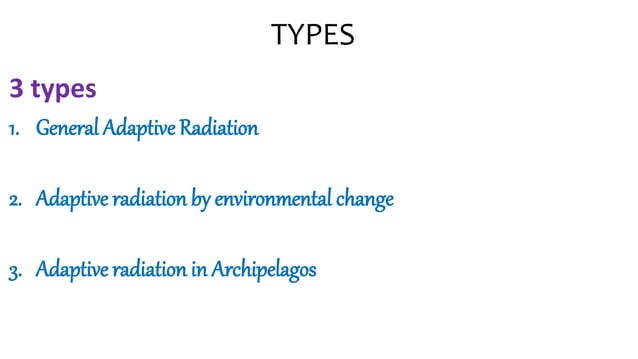 Adaptive radiation in mammals | PPTX