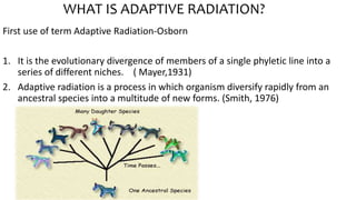 Adaptive Radiation Mammals