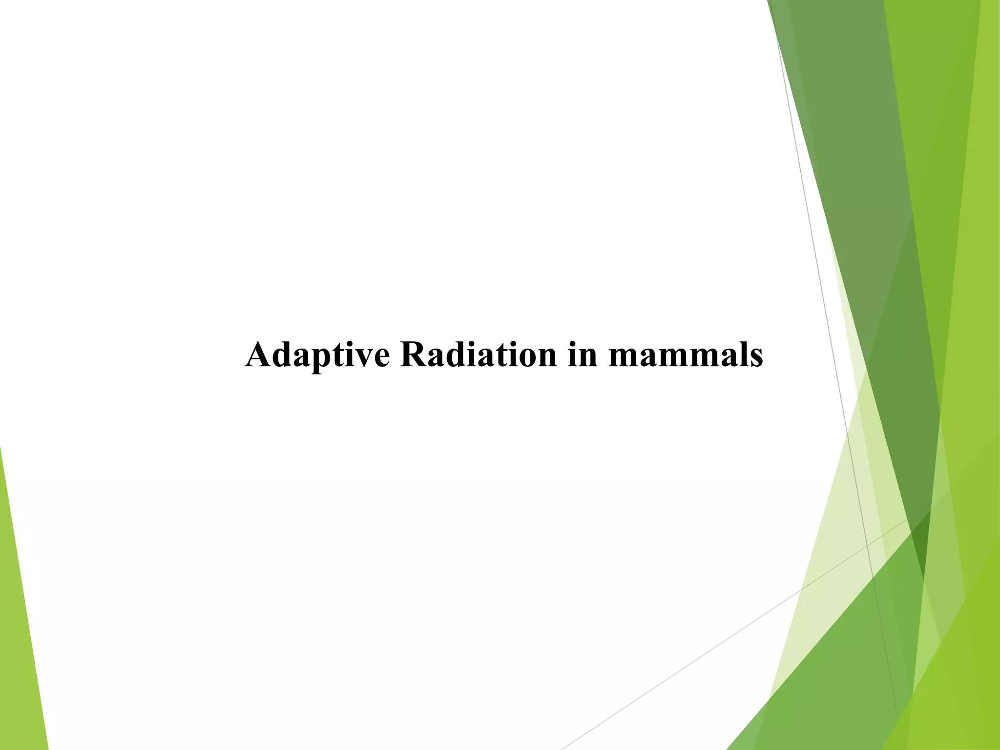 Adaptive radiation in mammals | PPTX