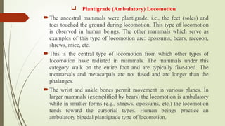 ADAPTIVE RADIATION IN MAMMALS WITH REFERENCE TO LOCOMOTORY APPENDAGES.pptx