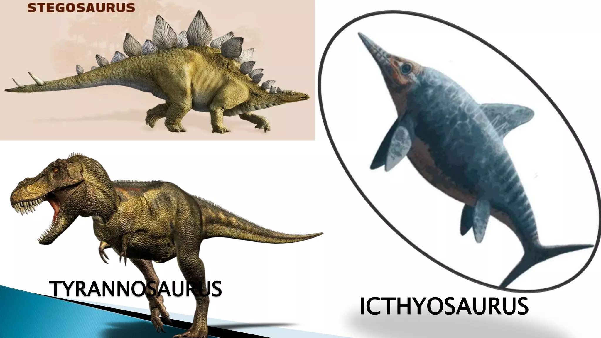 Adaptive radiation in reptiles copy | PPTX