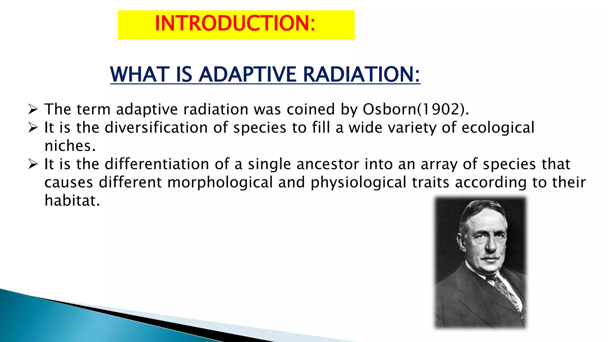 Adaptive radiation in reptiles copy | PPTX