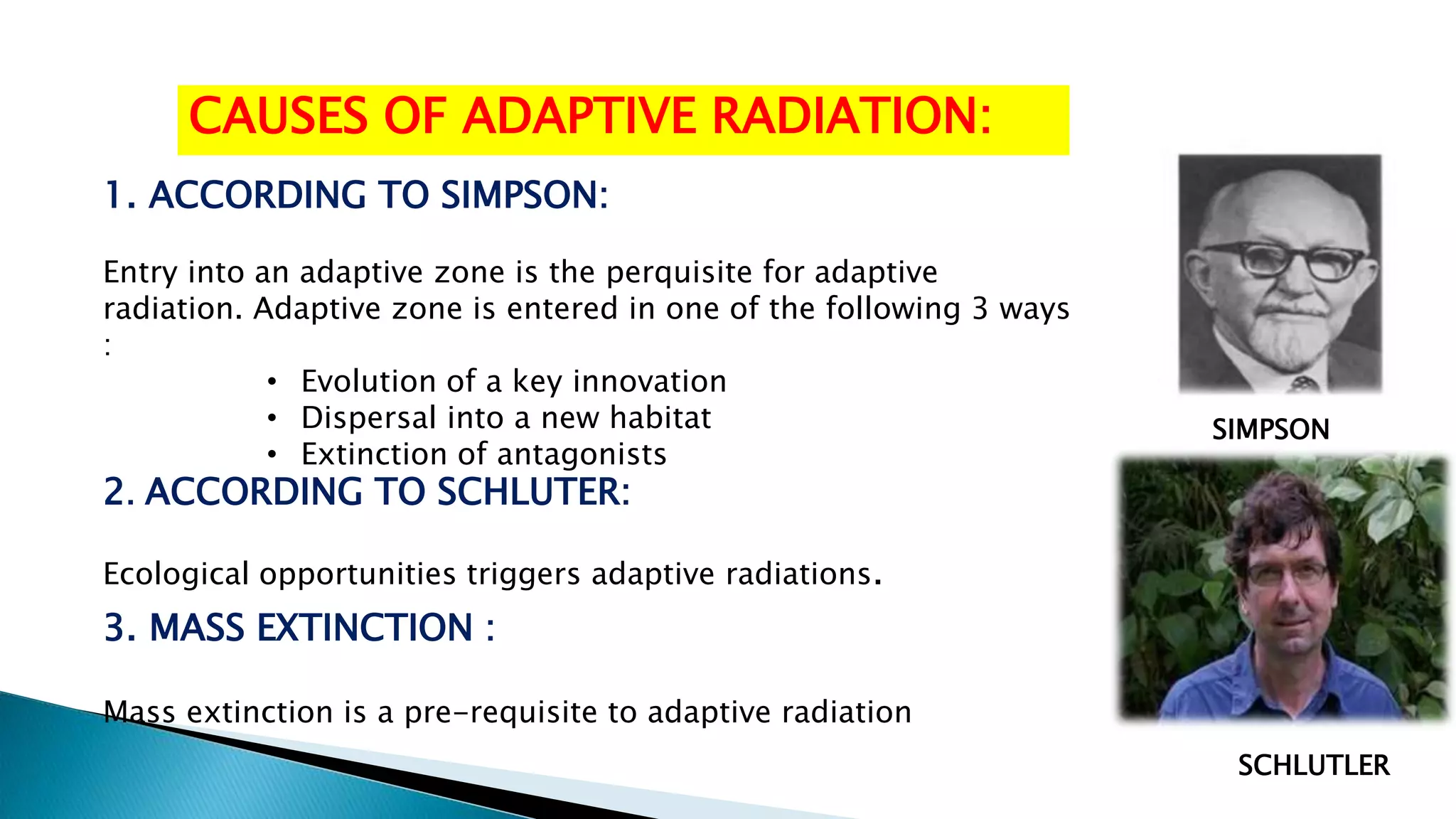 Adaptive radiation in reptiles copy | PPTX